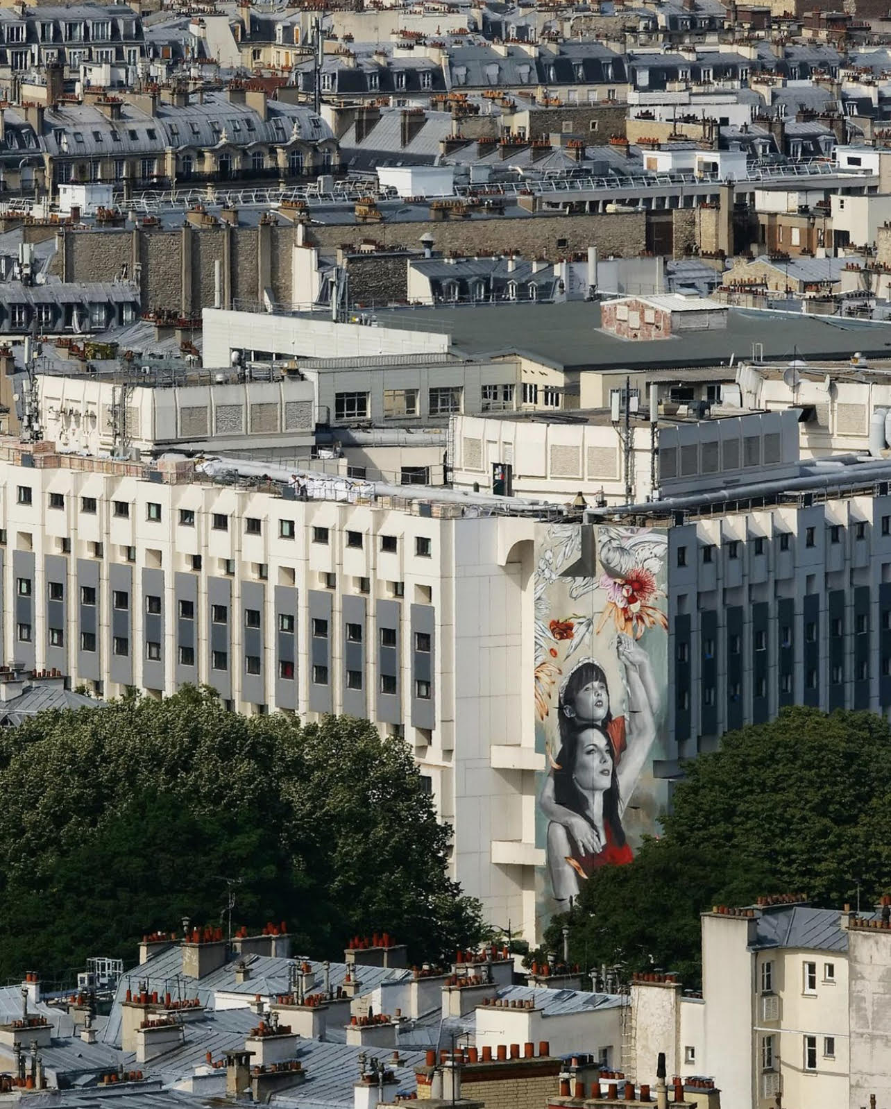 Lula Goce – Fillin Global